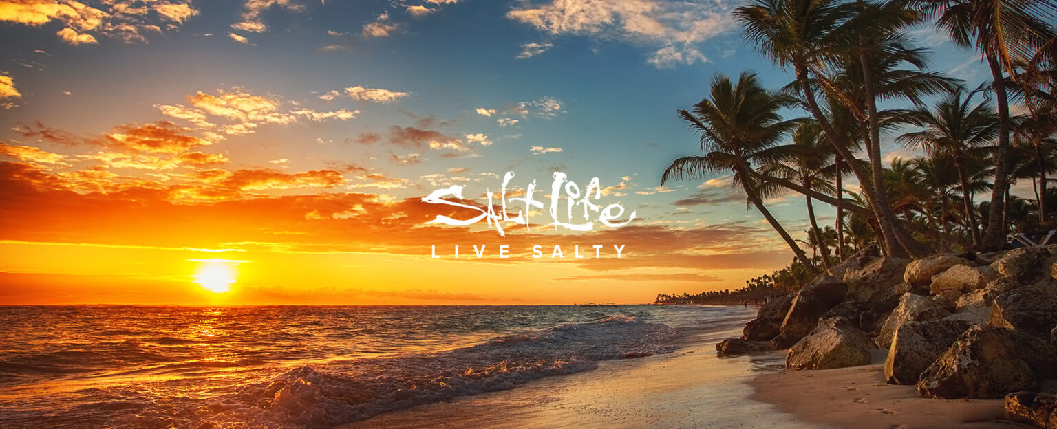 SALT LIFE ACCELERATES AS A FULL COASTAL LIFESTYLE BRAND UNDER ICONIX ...